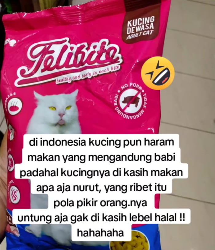 And i give up forever to touch you - 9GAG