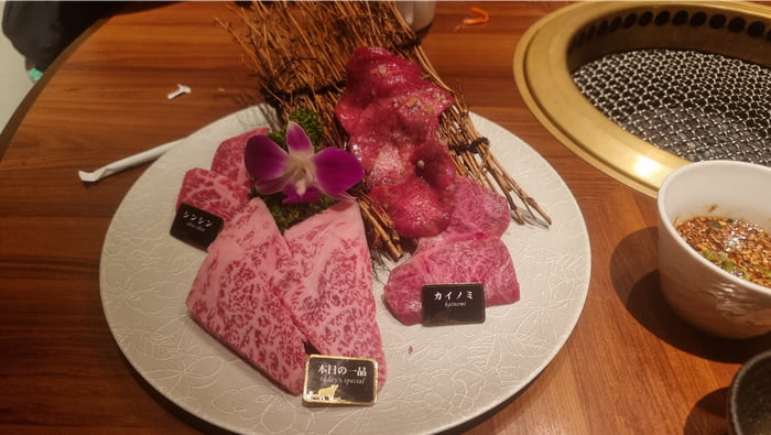 Frenchie in Japan here! - 9GAG