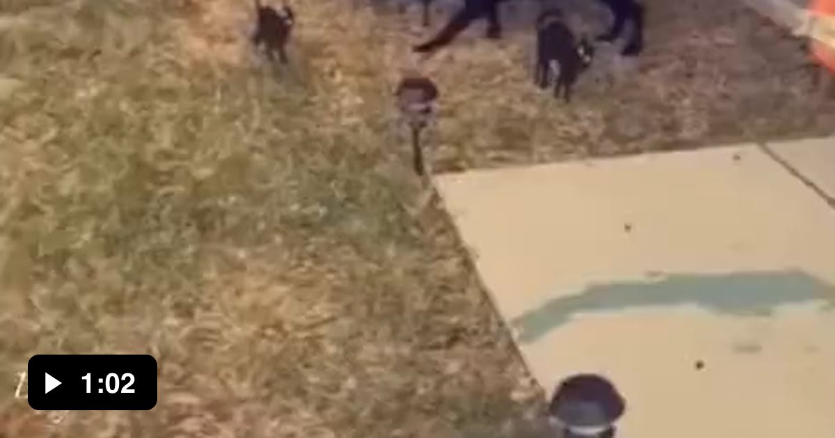 That snort honk laughter. . . - 9GAG