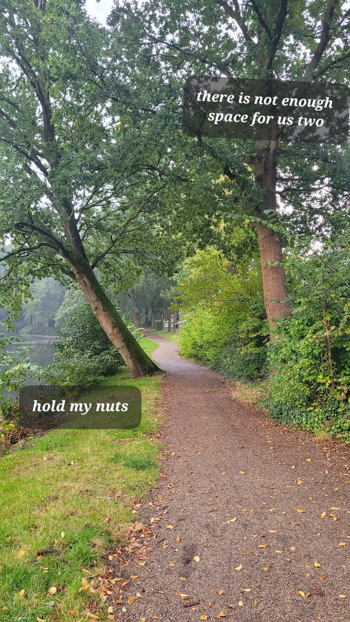 Hold my nuts - 9GAG