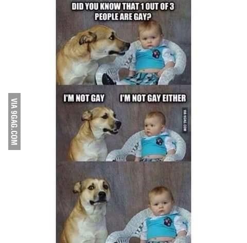 1 out of 3 people are gay.. Right.. - 9GAG