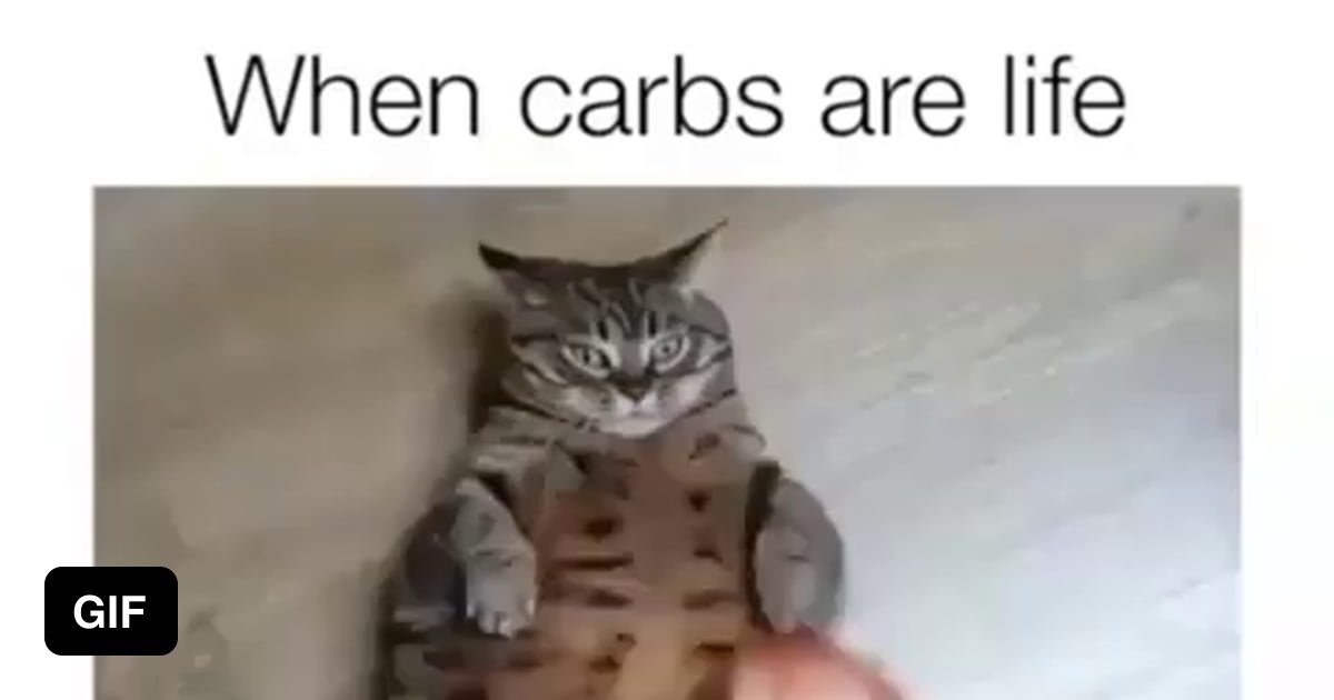 Carbs are life - 9GAG