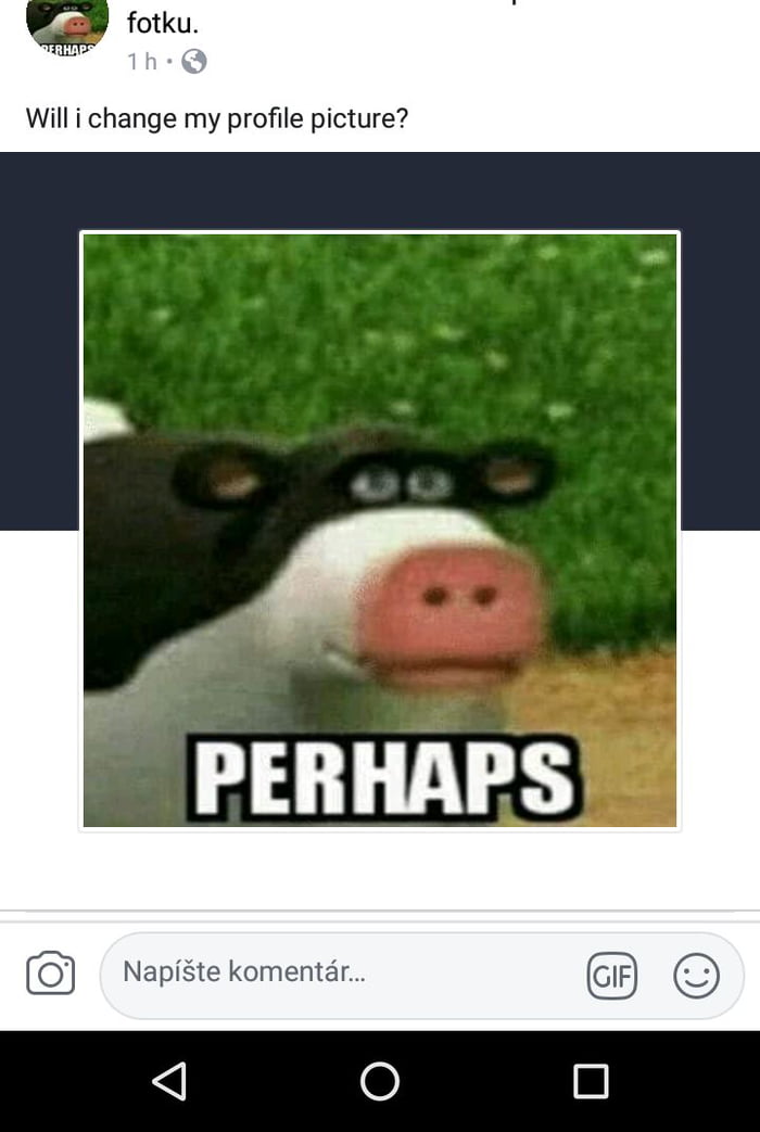 Hmmm... Perhaps. - 9GAG