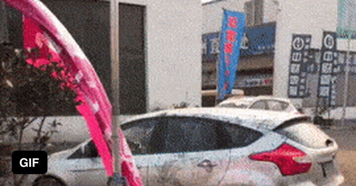 Dirty wind - 9GAG
