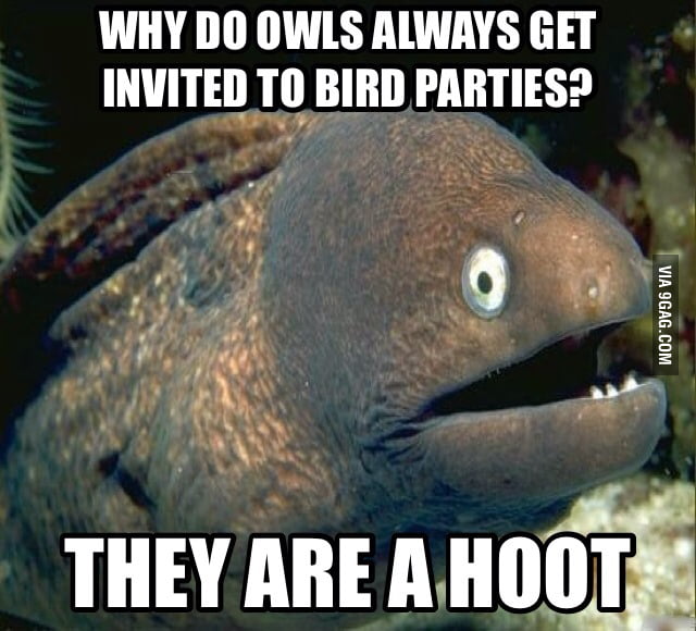 Popsicle jokes at their finest - 9GAG