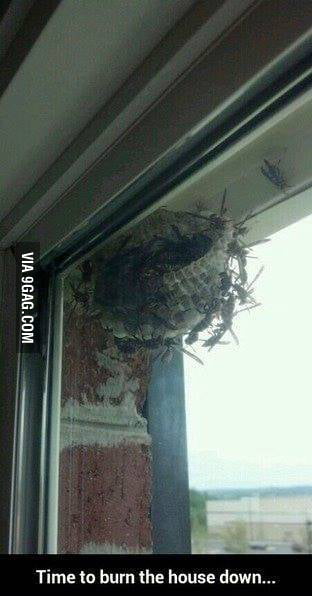 Burn the damn thing - 9GAG