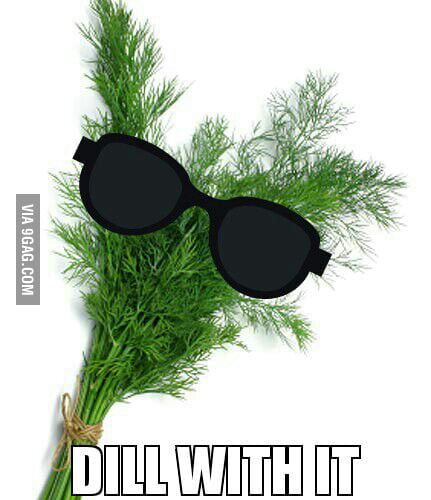 Just dill with it - 9GAG