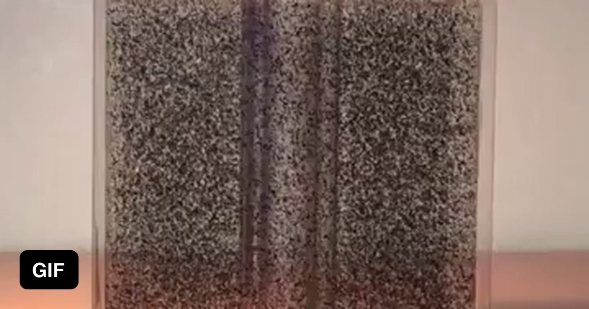 Visualisation of invisible magnetic field of a magnet. - 9GAG