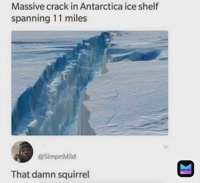 Sed ice age noises.. - 9GAG