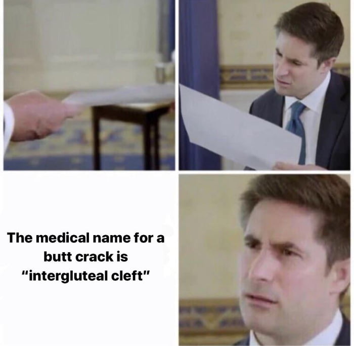 How dare you, you damned intergluteal cleft - 9GAG
