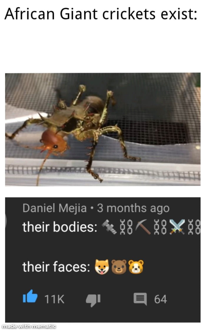 When armor set have high stat but does not match - 9GAG