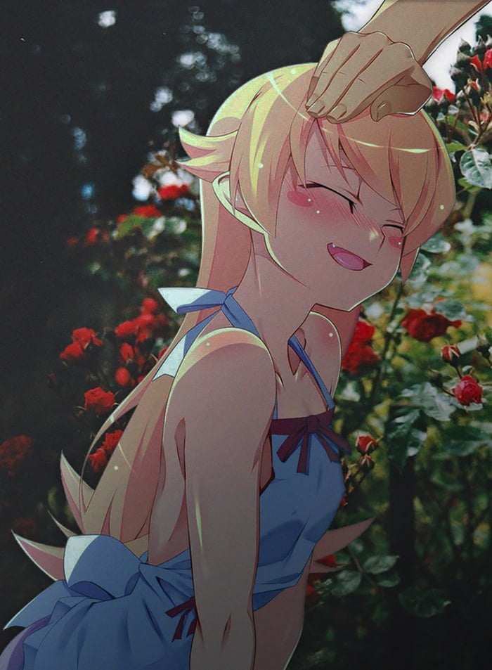 Do not head pat Oshino Shinobu, I repeat, DO NOT HEAD PAT HER - 9GAG