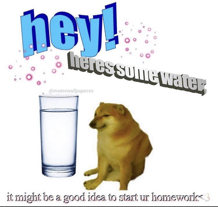 Stop scrolling this is a homie checkpoint - 9GAG