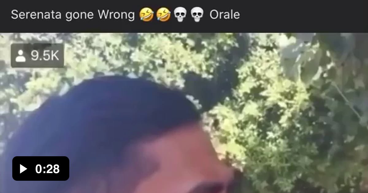 Serenade gone wrong. - 9GAG