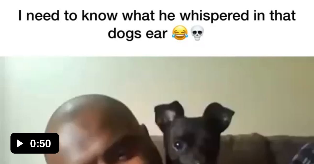 *Whispers in ear* For Gondor - 9GAG