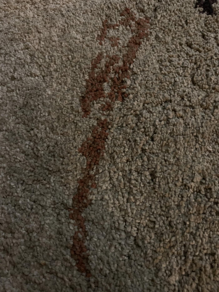 This rug design makes it look like there is poop on it. - 9GAG