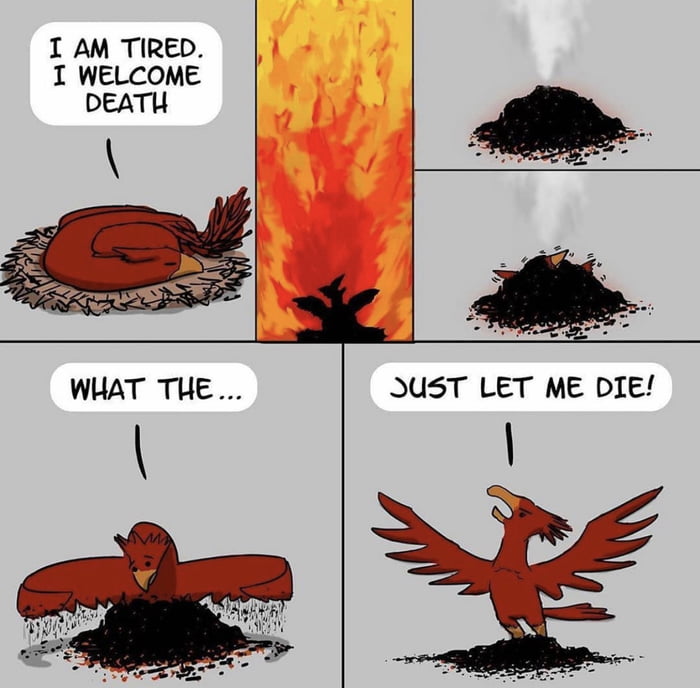 Fire bird - 9GAG