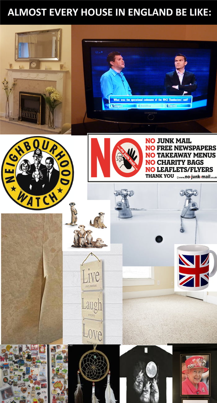 Bloody hell mate, meerkats are the best! - 9GAG