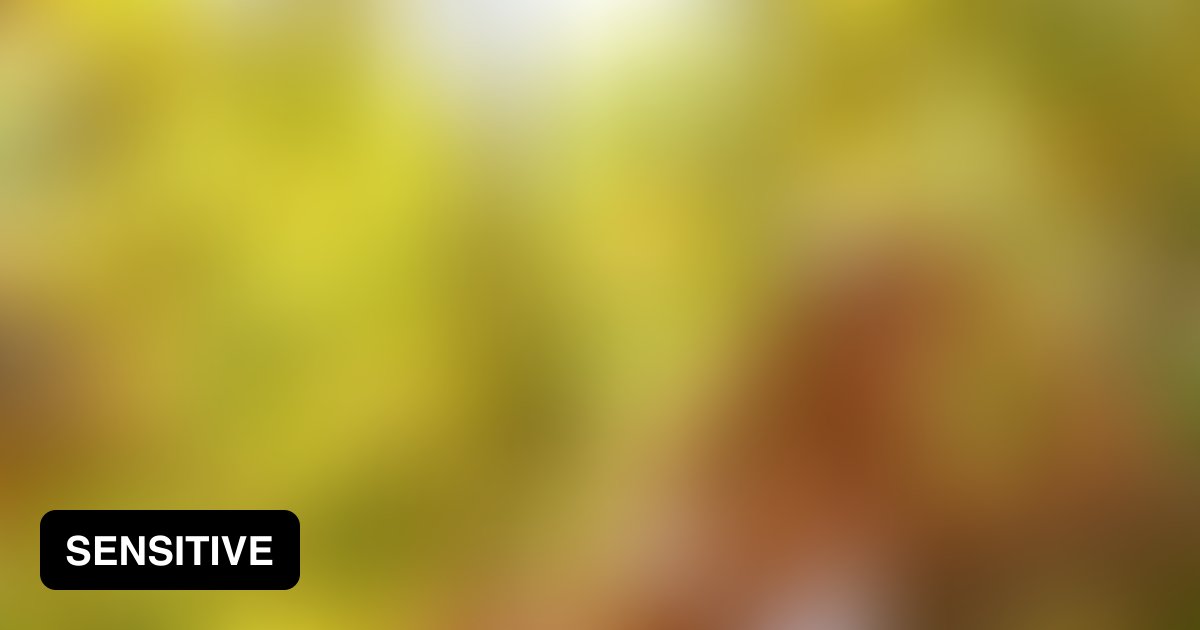 Polina Sitnova - 9GAG