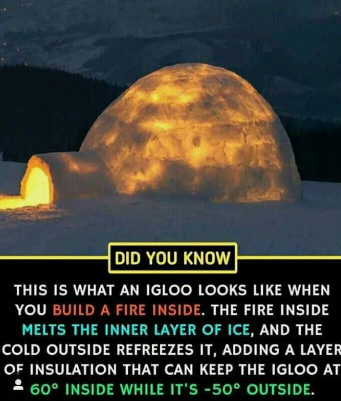 Some useful information about igloos - 9GAG