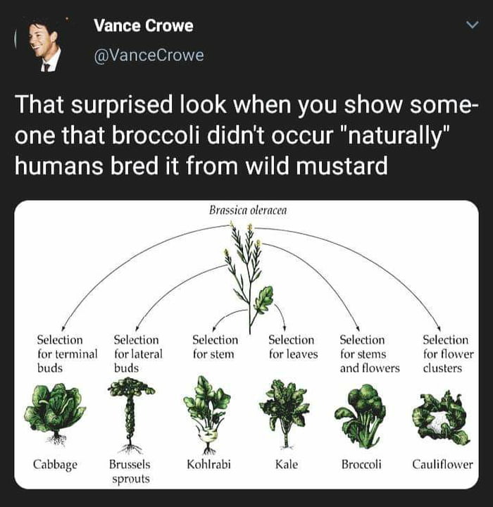 Science B Tch 9gag