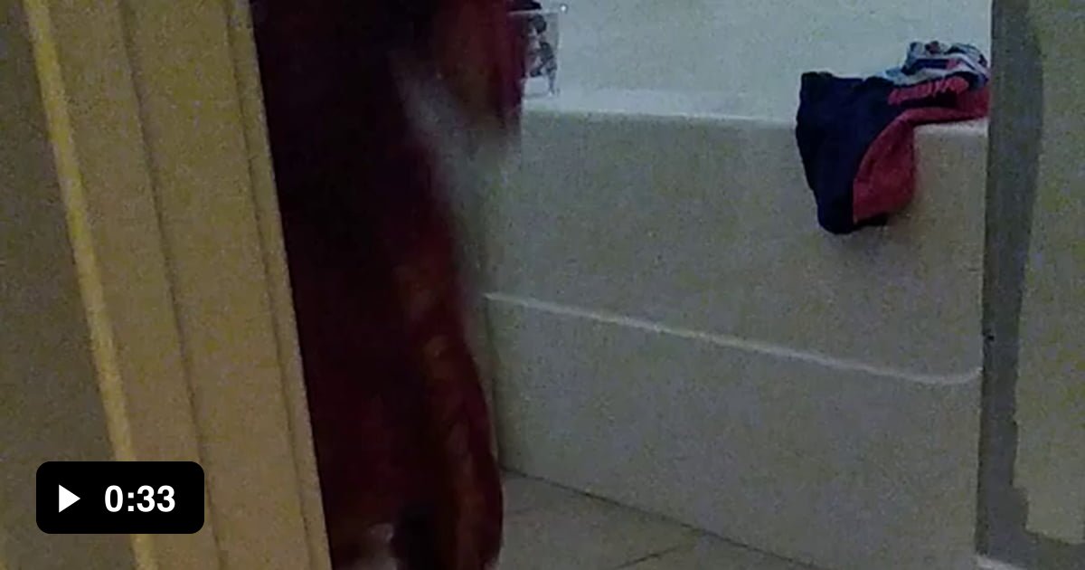 Is that your poop? - 9GAG