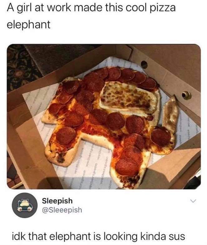 An elephant among us - 9GAG