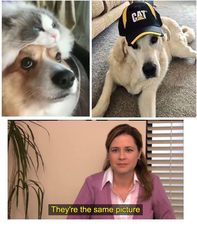 Corporate needs you to find the difference between these two pictures ...