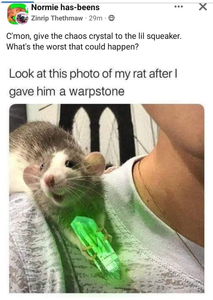 Wouldn't you give a rat some green rocks? - 9GAG