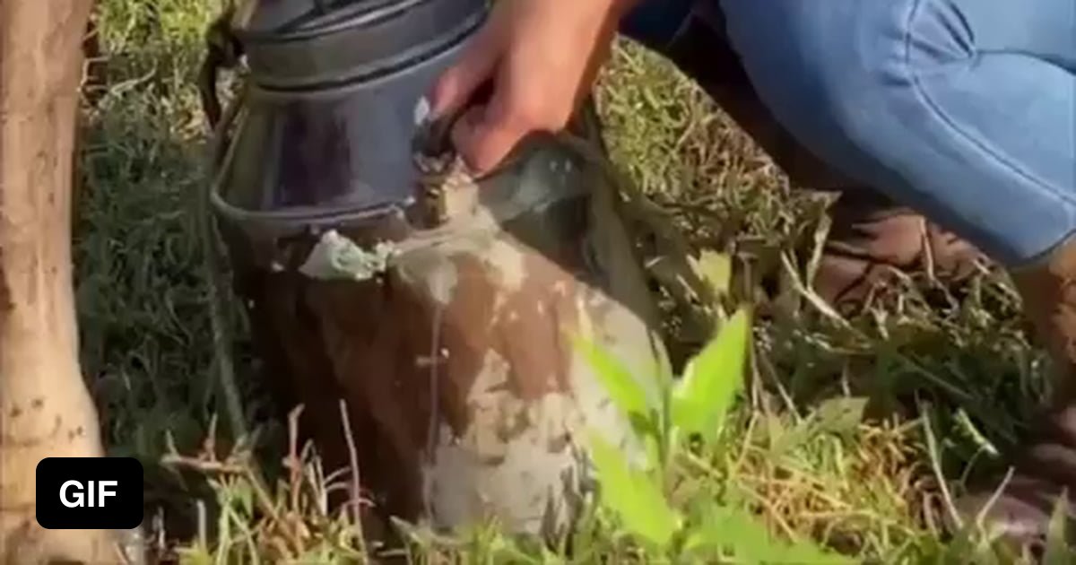 When I grew up on a farm - 9GAG