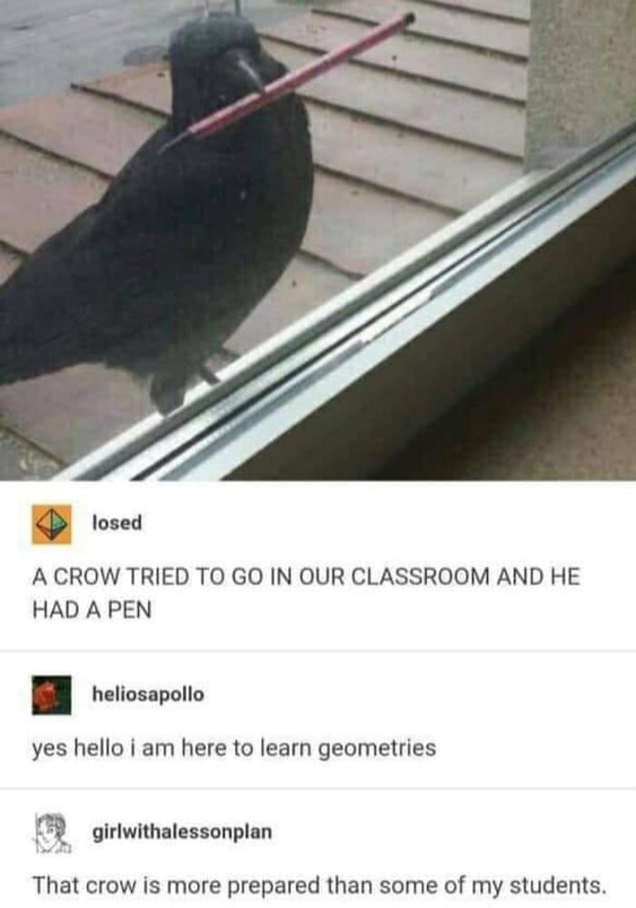 Crow wants to learn - 9GAG