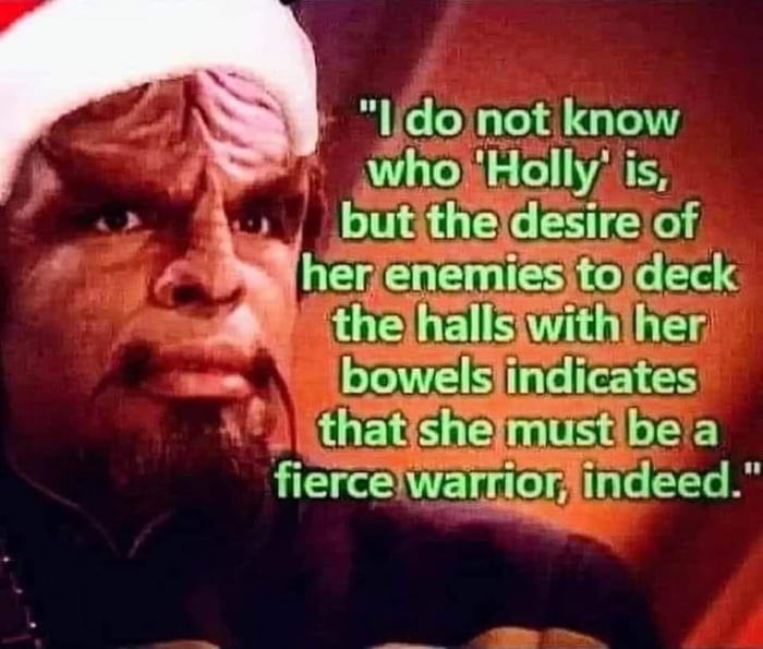 Deck the halls with boughs of holly.... - 9GAG