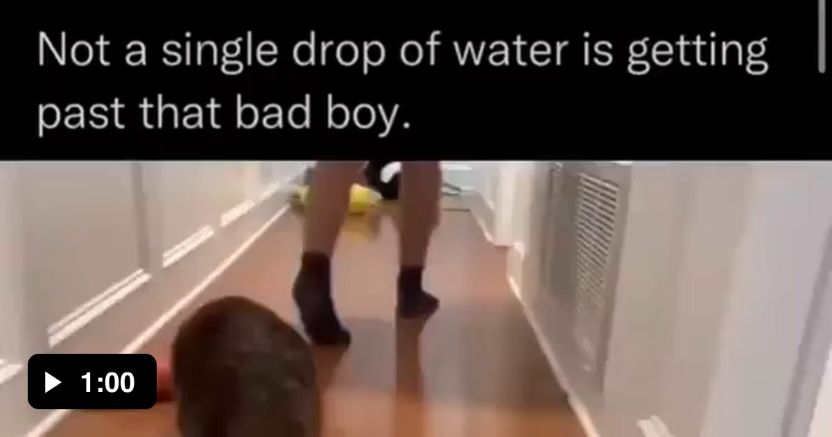 Beaver builds a dam inside! - 9GAG