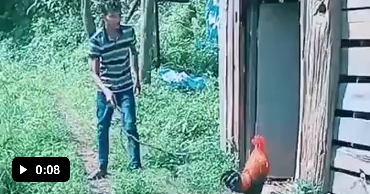 Chicken fury - 9GAG