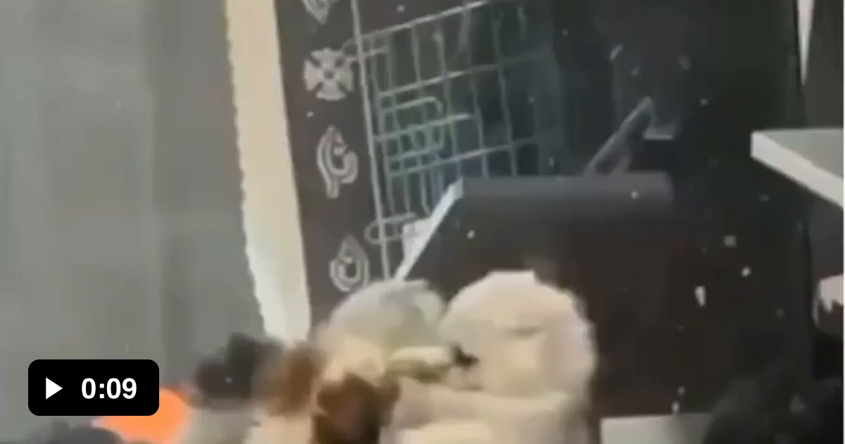 Tippy taps fight? - 9GAG