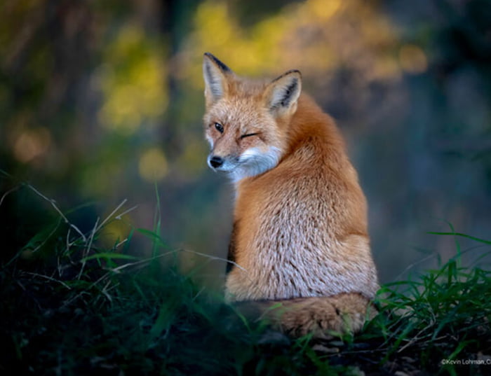 I enjoy leaving a comment then blocking an op. Then I get a ...