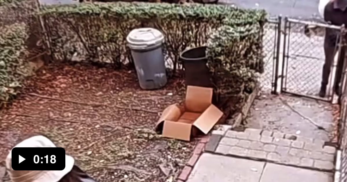 Bro wtf going on in USA.... - 9GAG