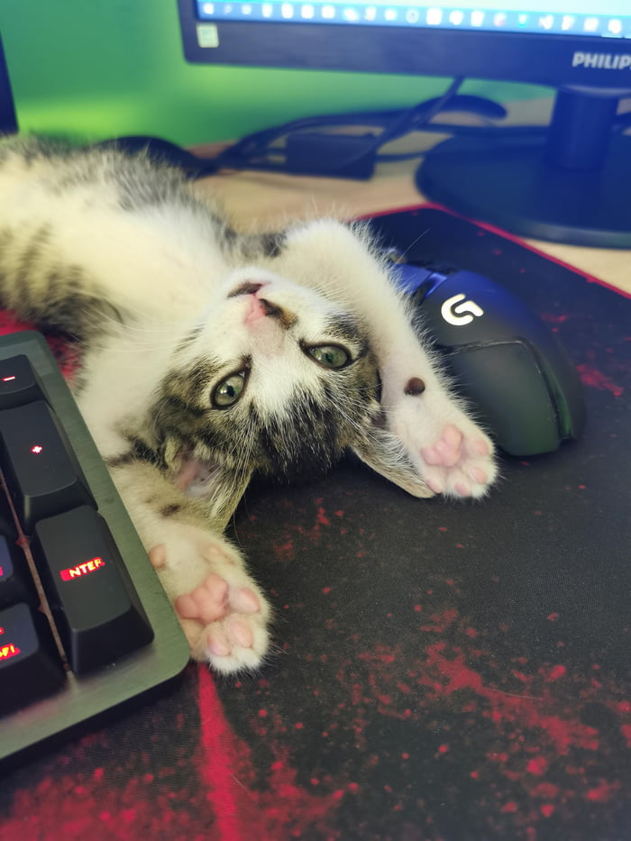 He Wants To Cuddle 😍 9gag