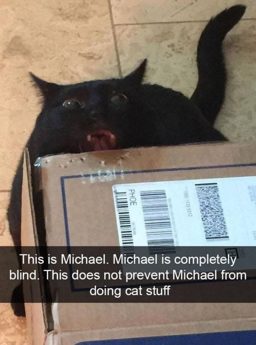 Send some love for michael - 9GAG