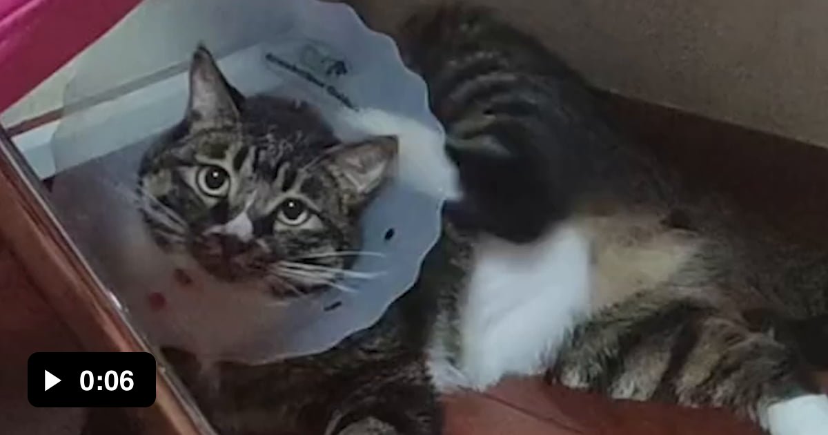 Start your engine - 9GAG