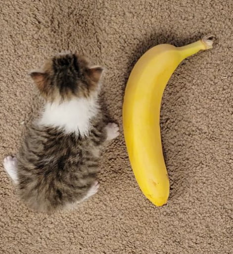 So basically!! - 9GAG