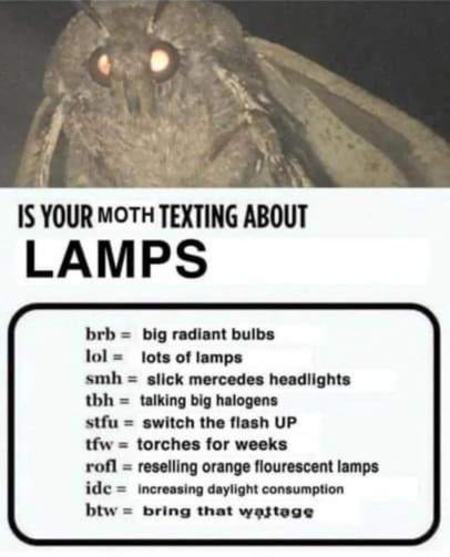 Moth memes are lit. Moths incoming... - 9GAG
