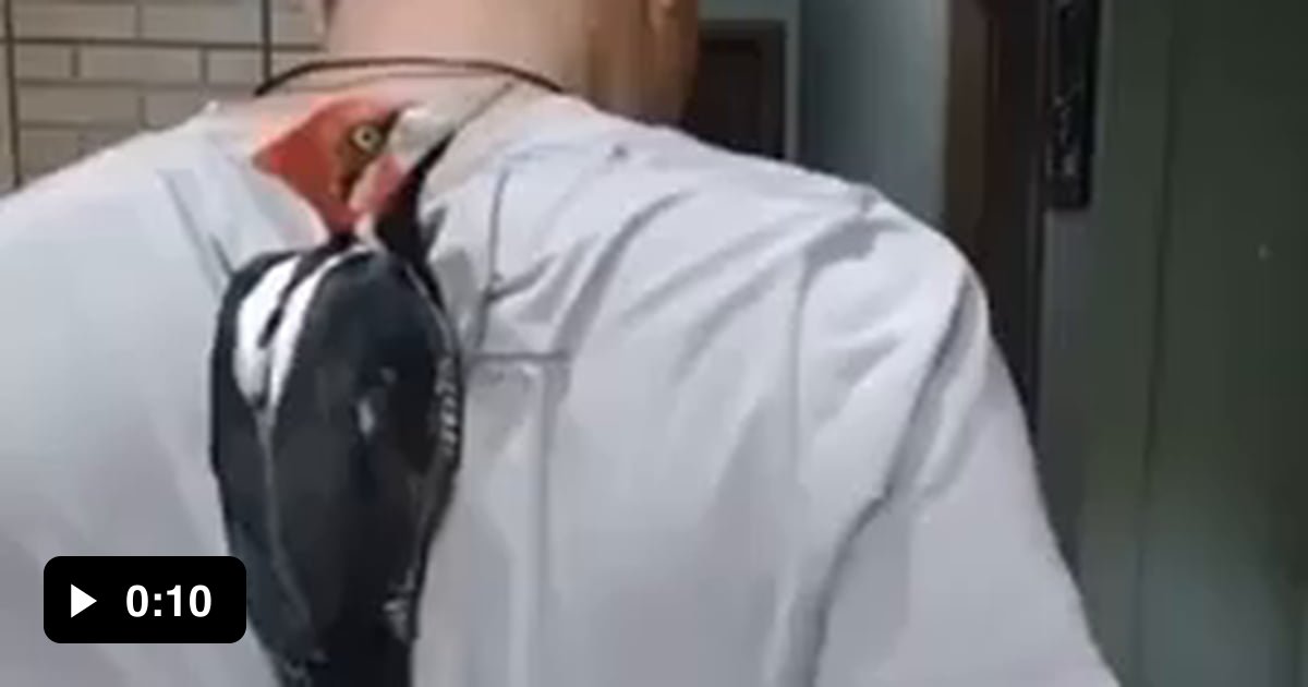 Catch me if you can - 9GAG