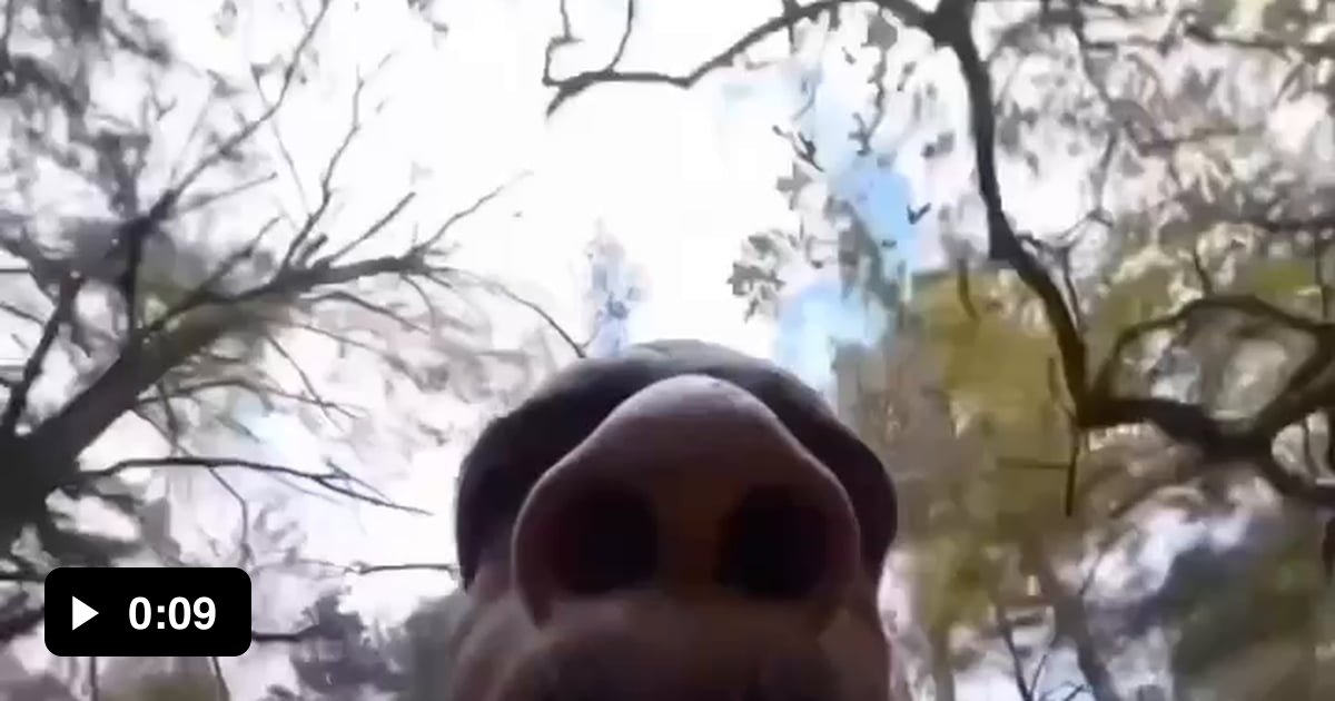 Guy running with a 360° camera in his mouth - 9GAG
