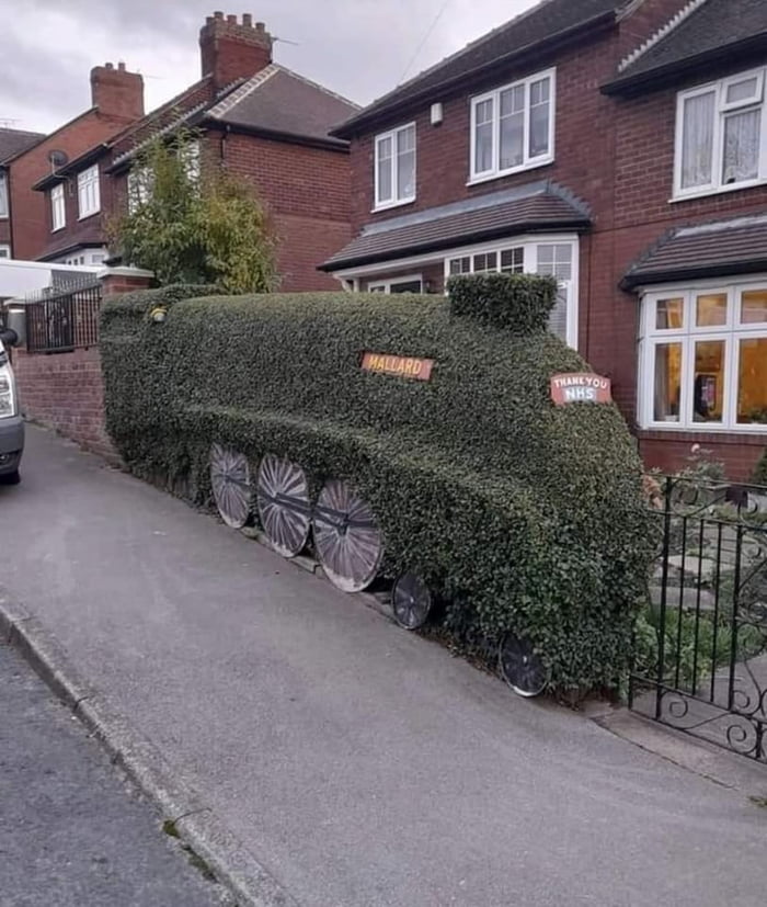 Hedge fun - 9GAG