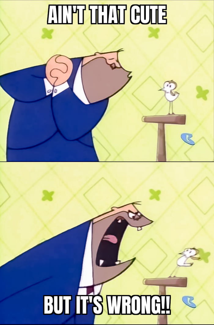 2 stupid dogs.. - 9GAG