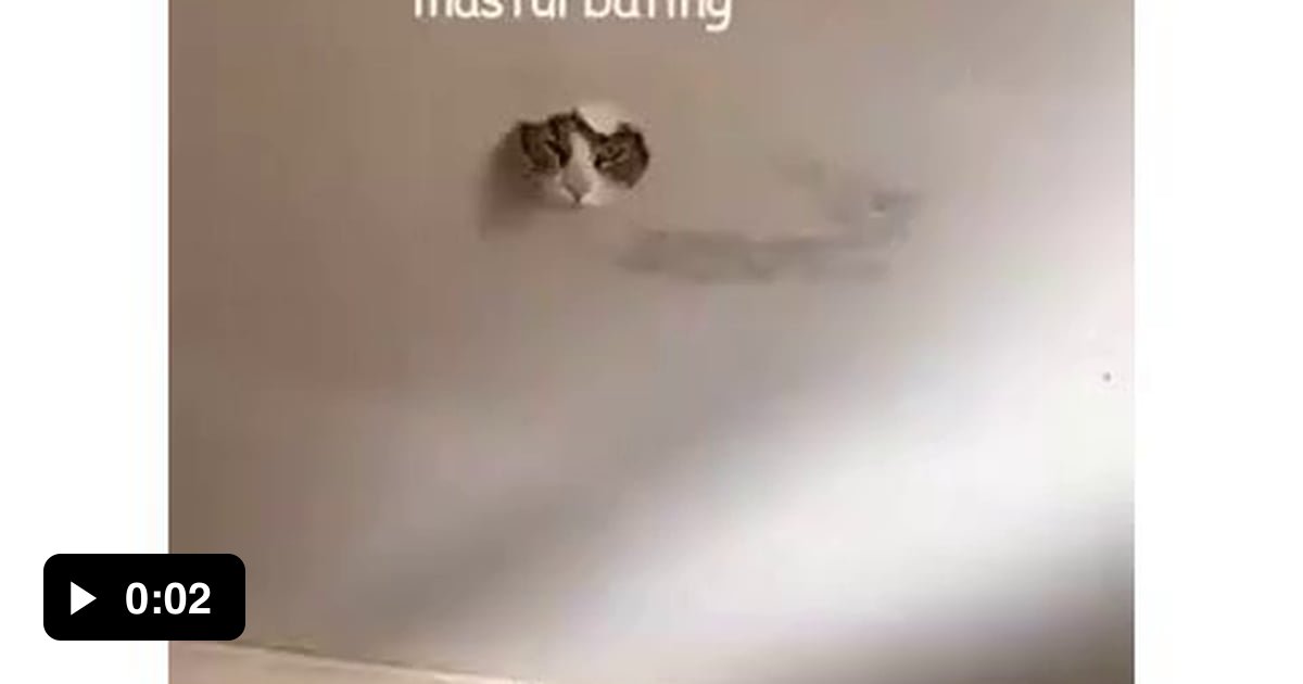 Obey Ceiling Cat - 9GAG