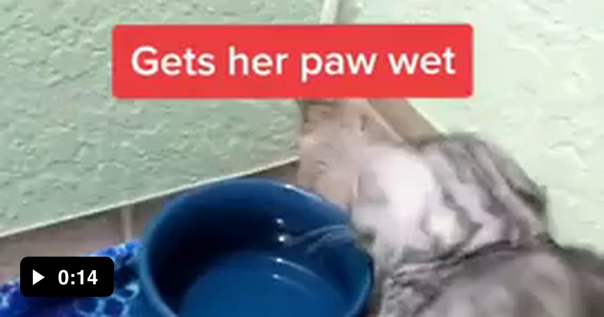 How dare you get me wet! - 9GAG