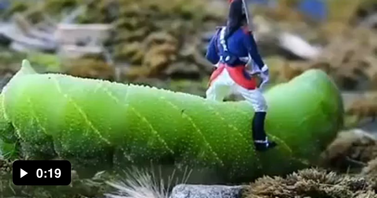 We, the Prussian Calvary Ride the Worm!!! - 9GAG