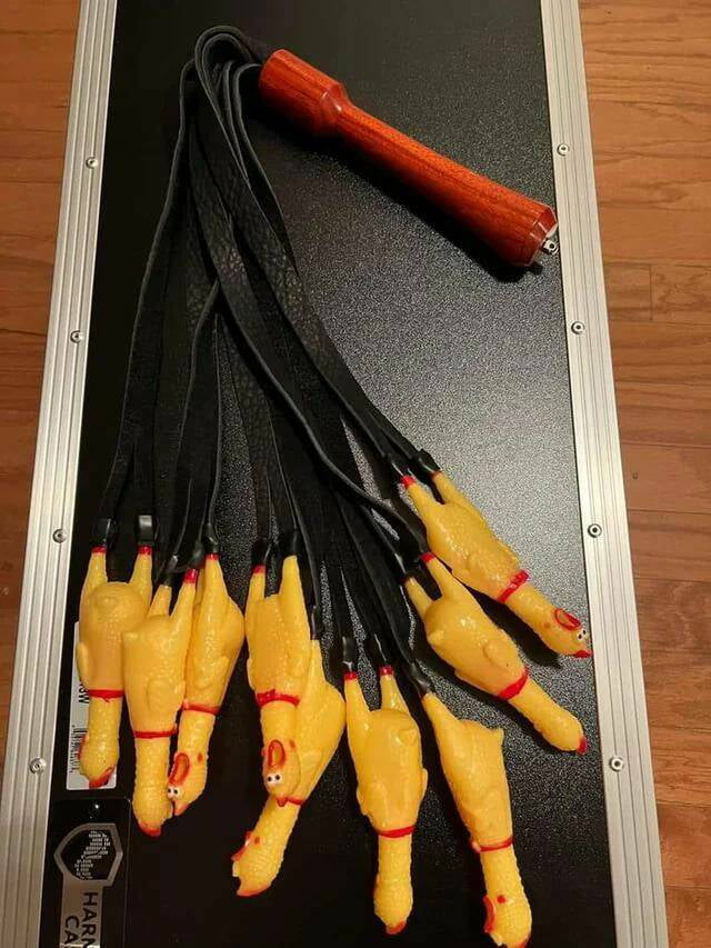 Cat o' nine chickens.. - 9GAG
